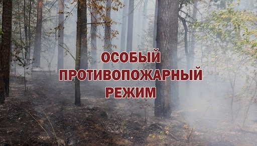Что такое противопожарный режим и что включает в себя определение и ...
